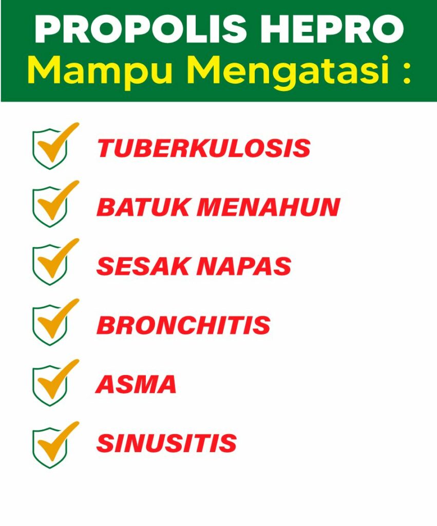 3 PROPOLIS HEPROCARE OFFICIAL – Propolis Hepro Care